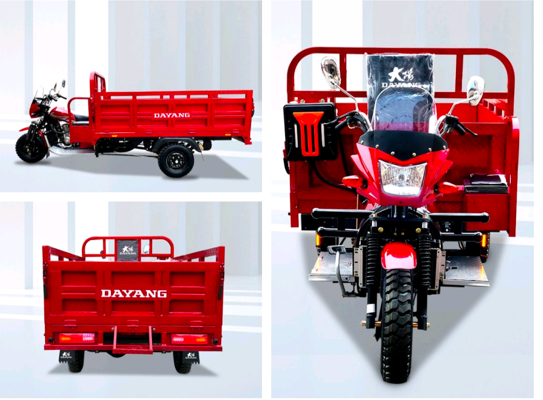 China Customized DY-175ZH-3N Three Wheeled Motorcycle Suppliers ...